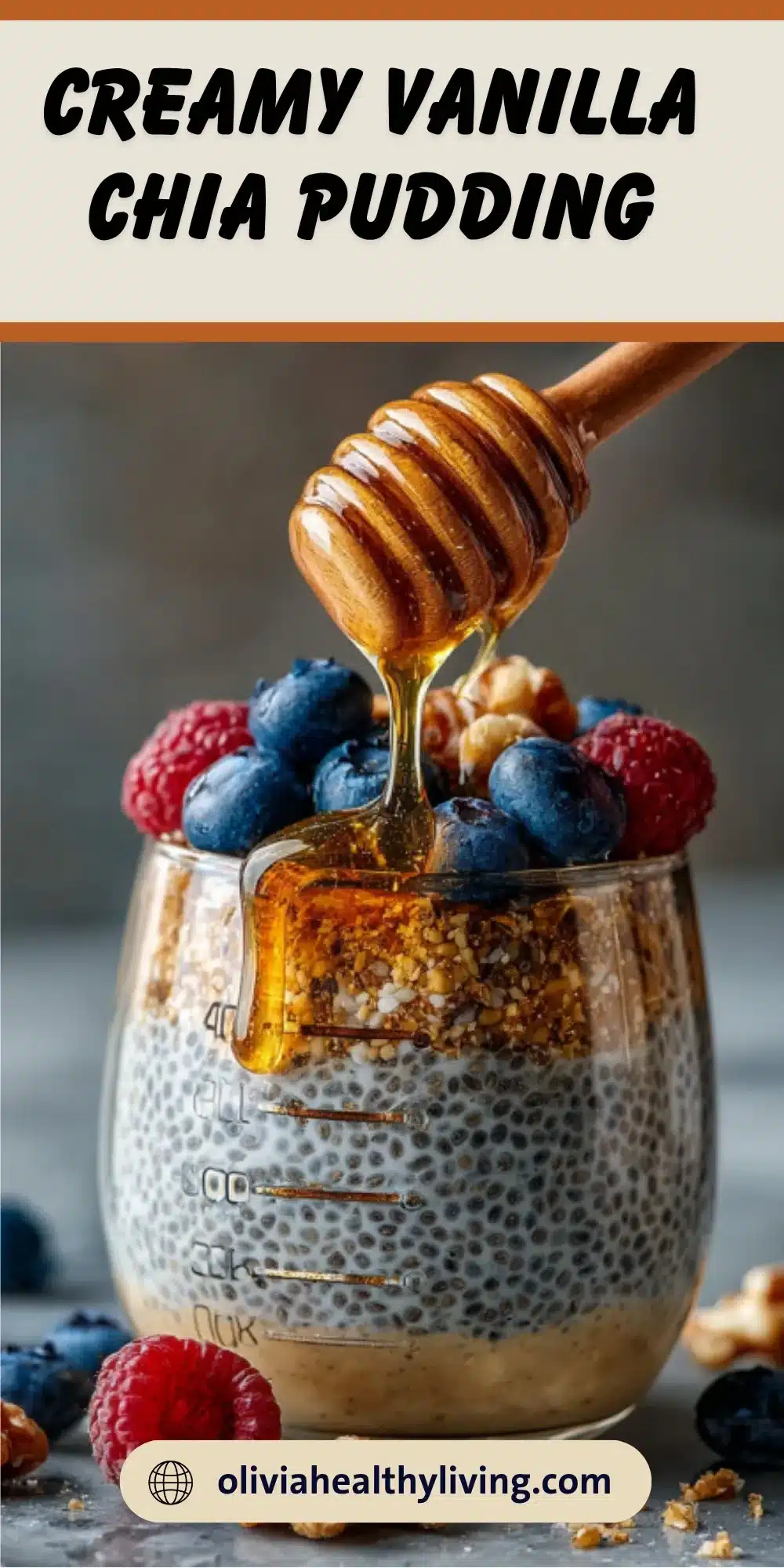 Easy Vanilla Chia Pudding Recipe - Healthy Overnight Breakfast